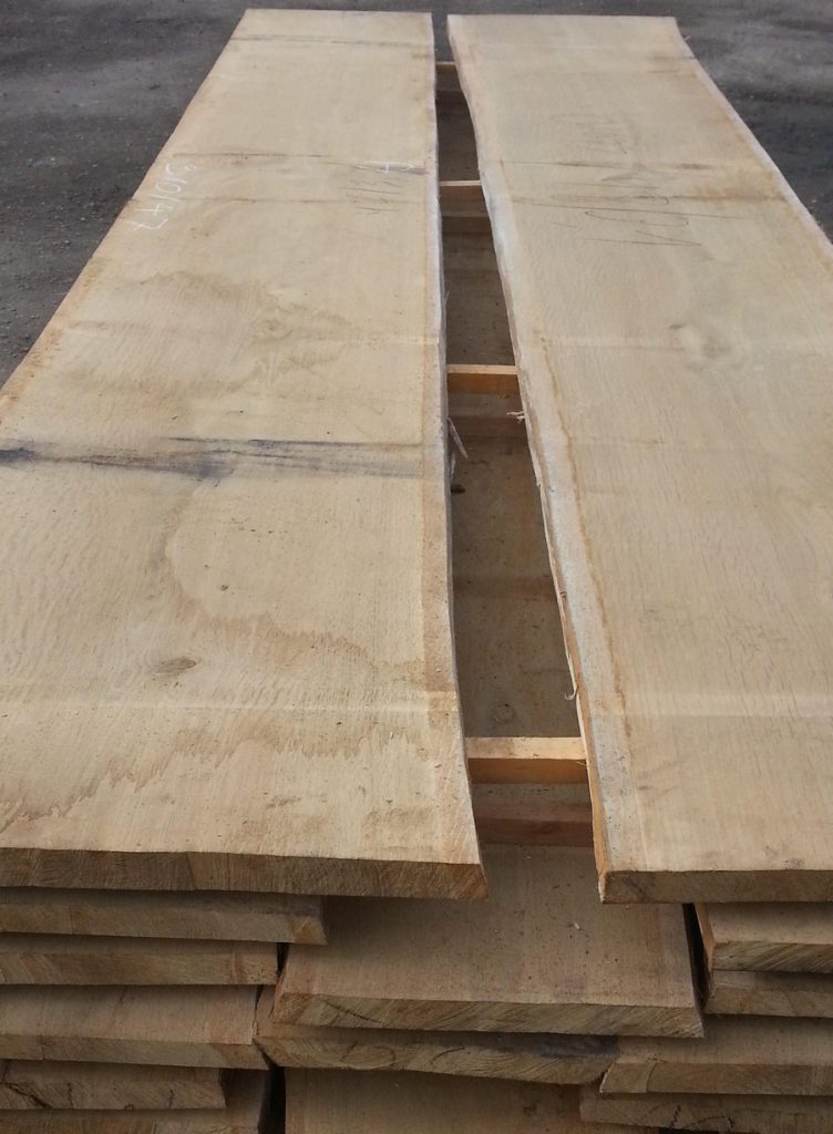 Tarcica dębowa, bukowa, jesionowa, olchowa, brzozowa (sucha i mokra)